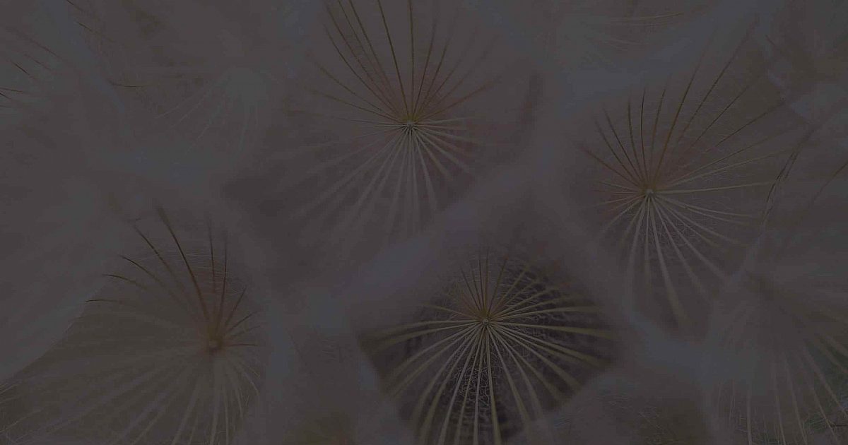 Dr. David Knight | The Doctor - Dr David Knight The Doctor